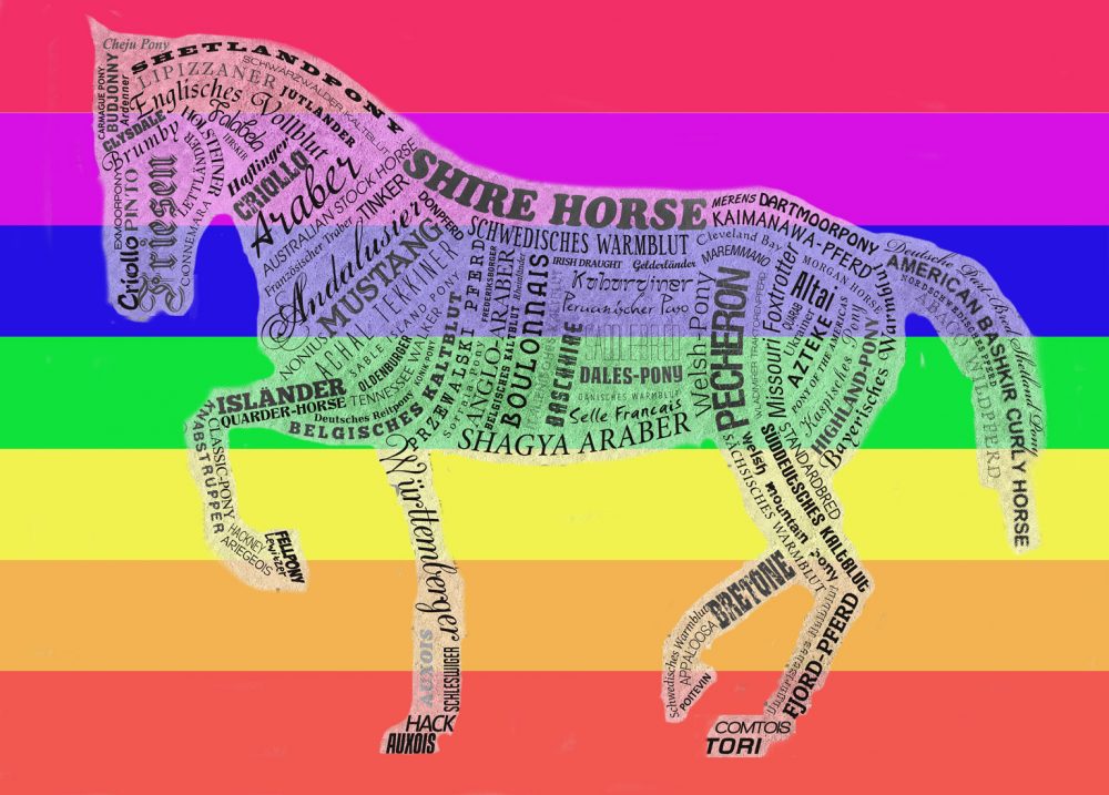 Pferderassen, Pferd auf bunt - BK-Poster